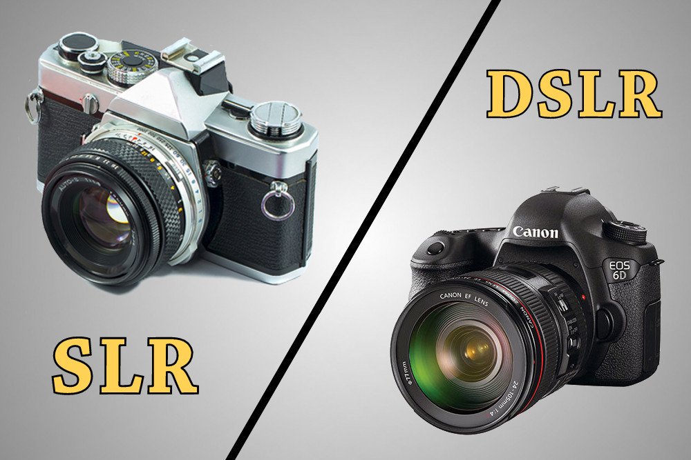 What Is the Difference Between SLR and DSLR Cameras?